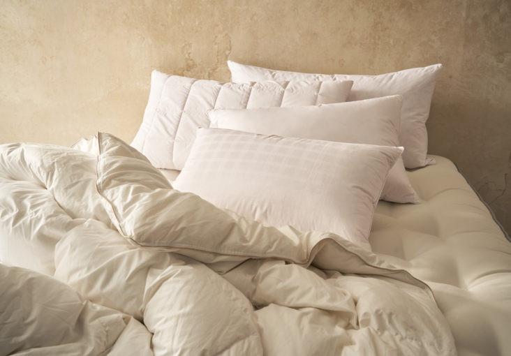 Latest Vispring News